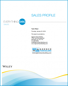 The DISC Sales Assessment
